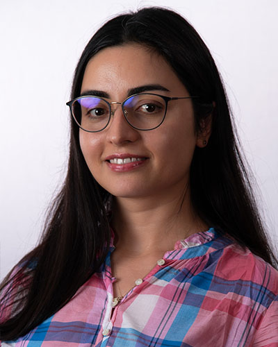 Lida Sarafrazarpatapeh, P.h.D | College of Liberal and Fine Arts | UTSA ...